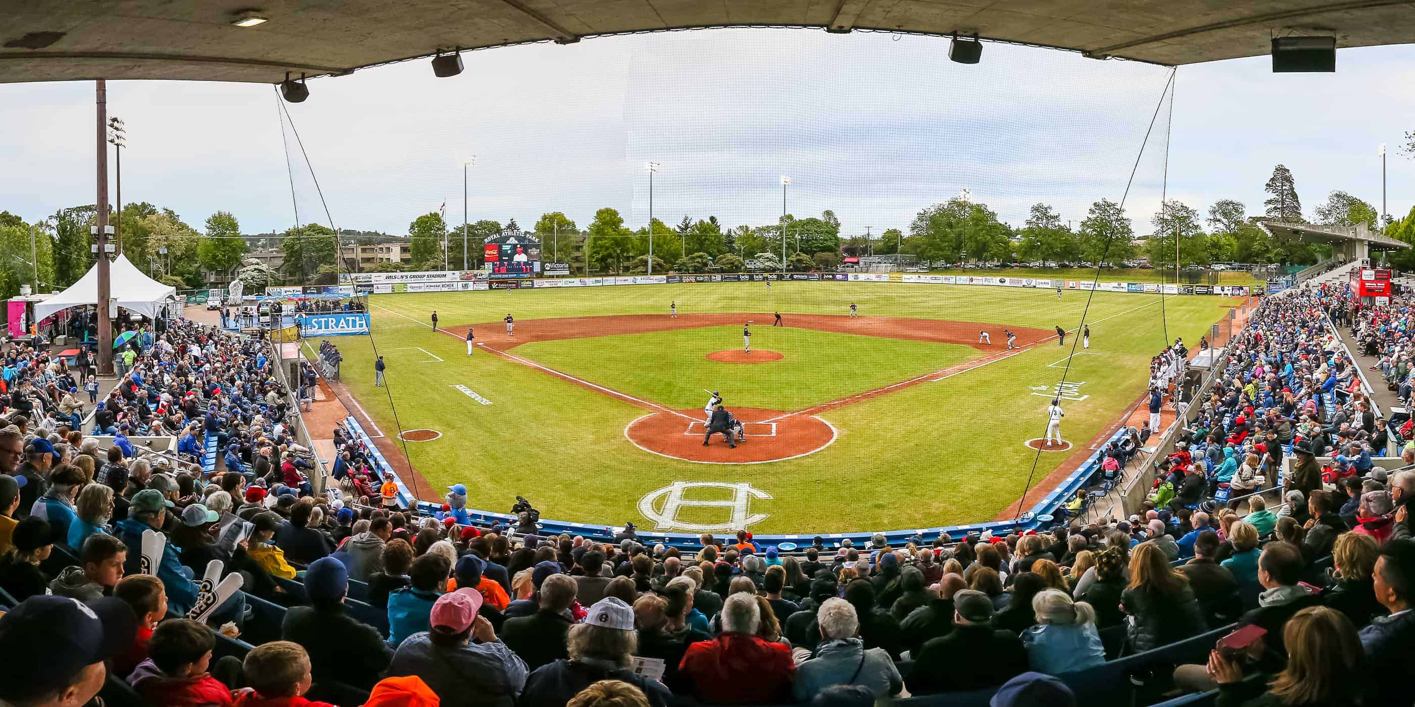 Victoria HarbourCats - Become a Partner