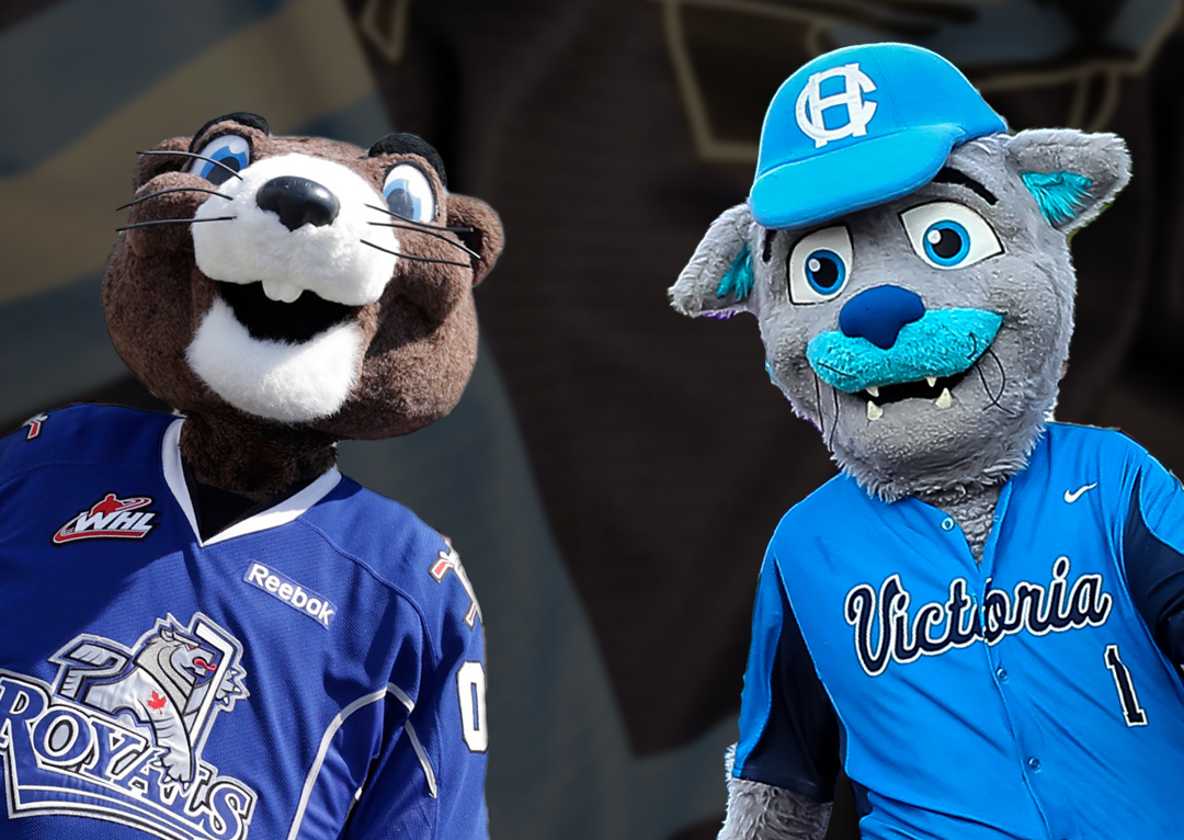 Victoria HarbourCats - HarbourCats proud to team with Royals