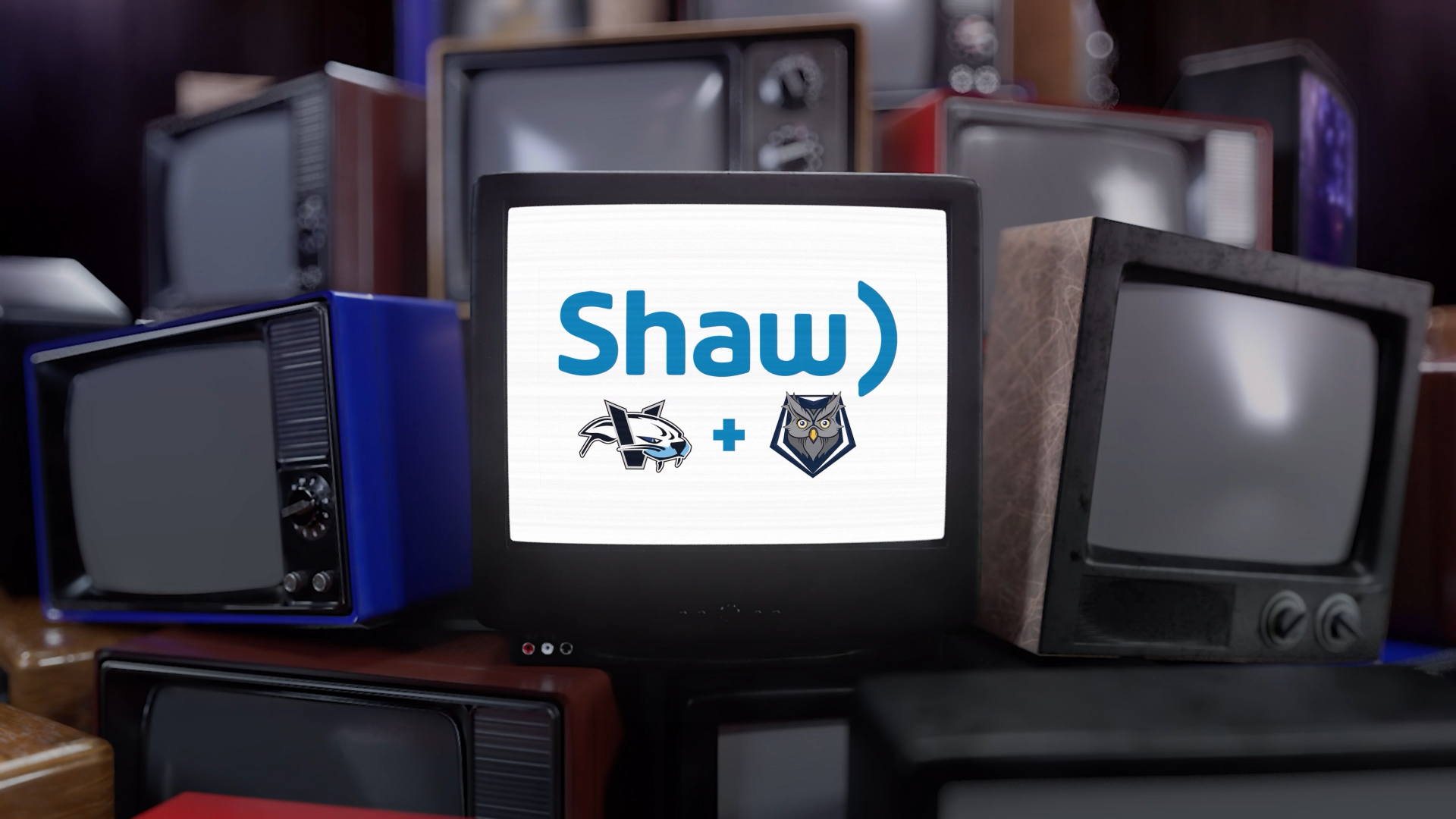 Victoria HarbourCats - Island WCL clubs team up for broadcasts on Shaw