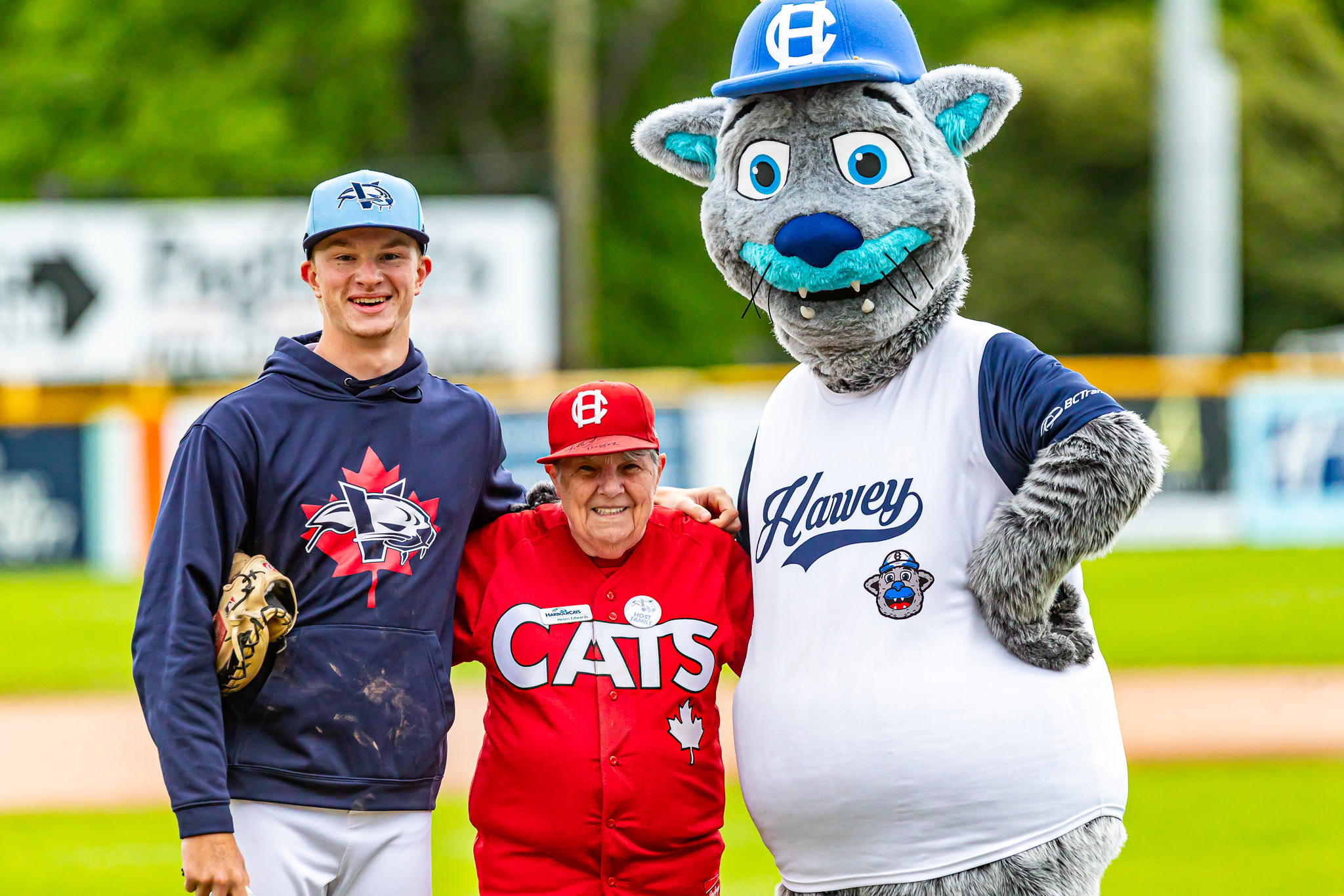 Victoria HarbourCats - The host family tale of Helen and her boys