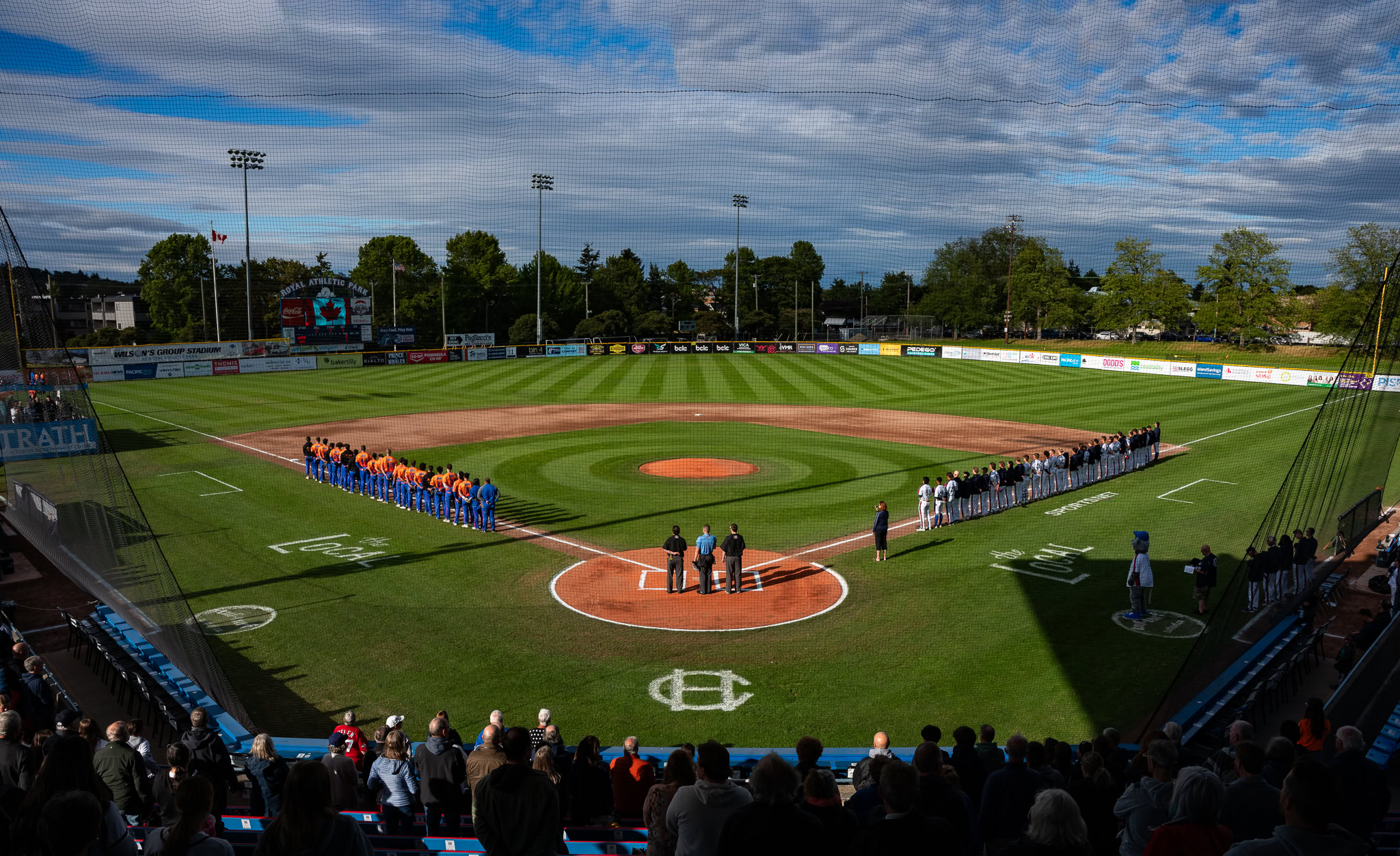 Victoria HarbourCats - NightOwls, HarbourCats split twin bill to cap ...