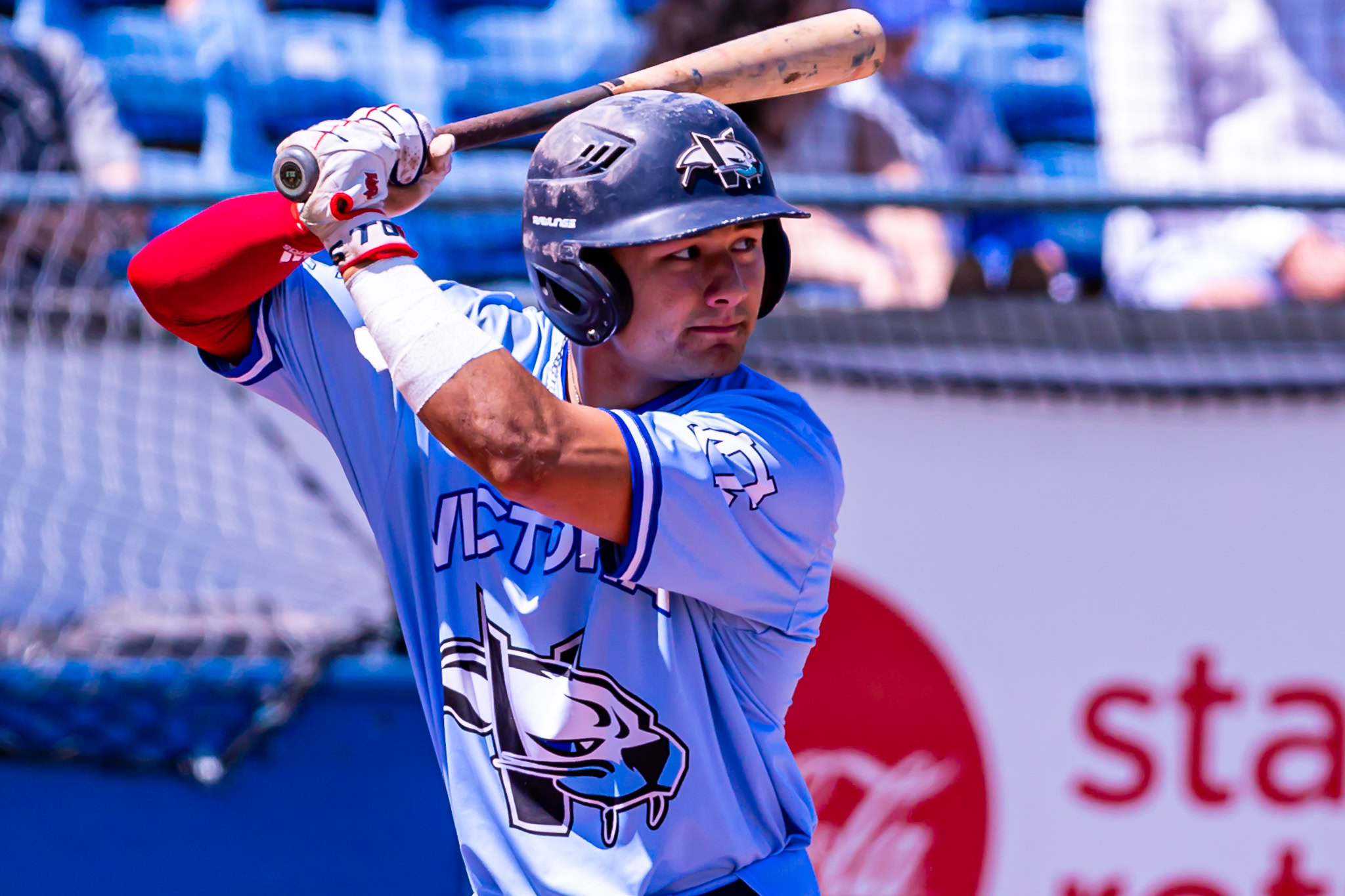 Victoria HarbourCats - 'Cats bounce back against Bells