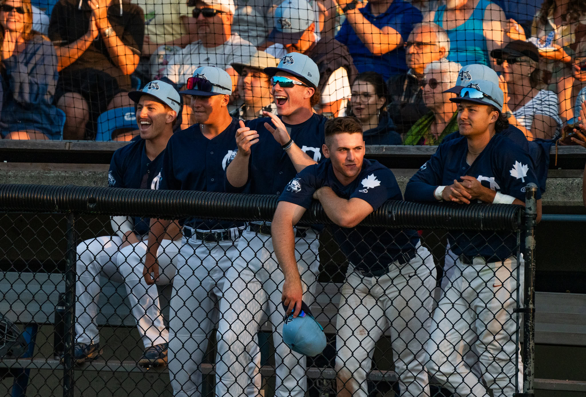 Victoria HarbourCats - Cats fall just short losing 5-4 to Knights