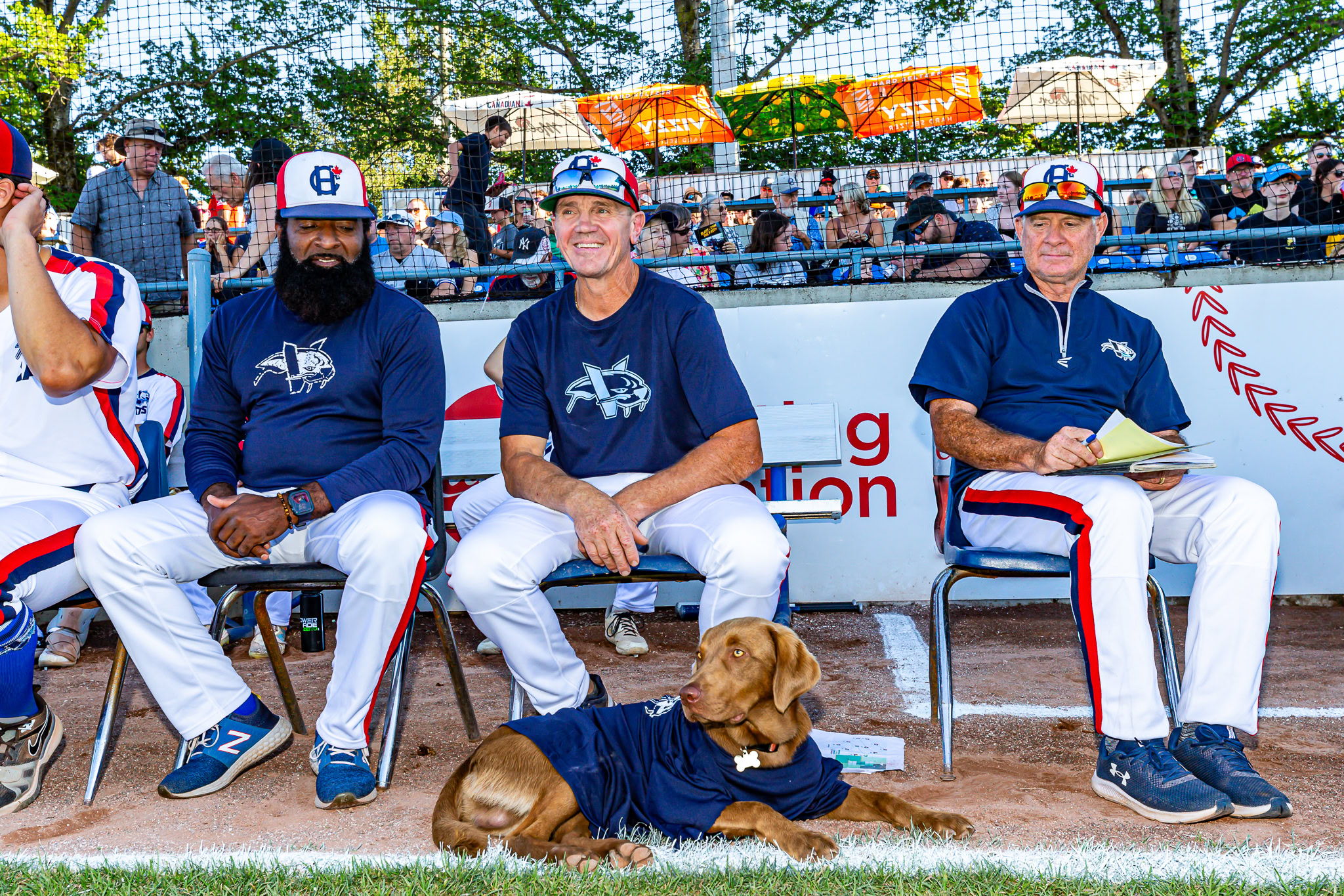 Victoria HarbourCats - Bells roll over HarbourCats 8-1 in series opener