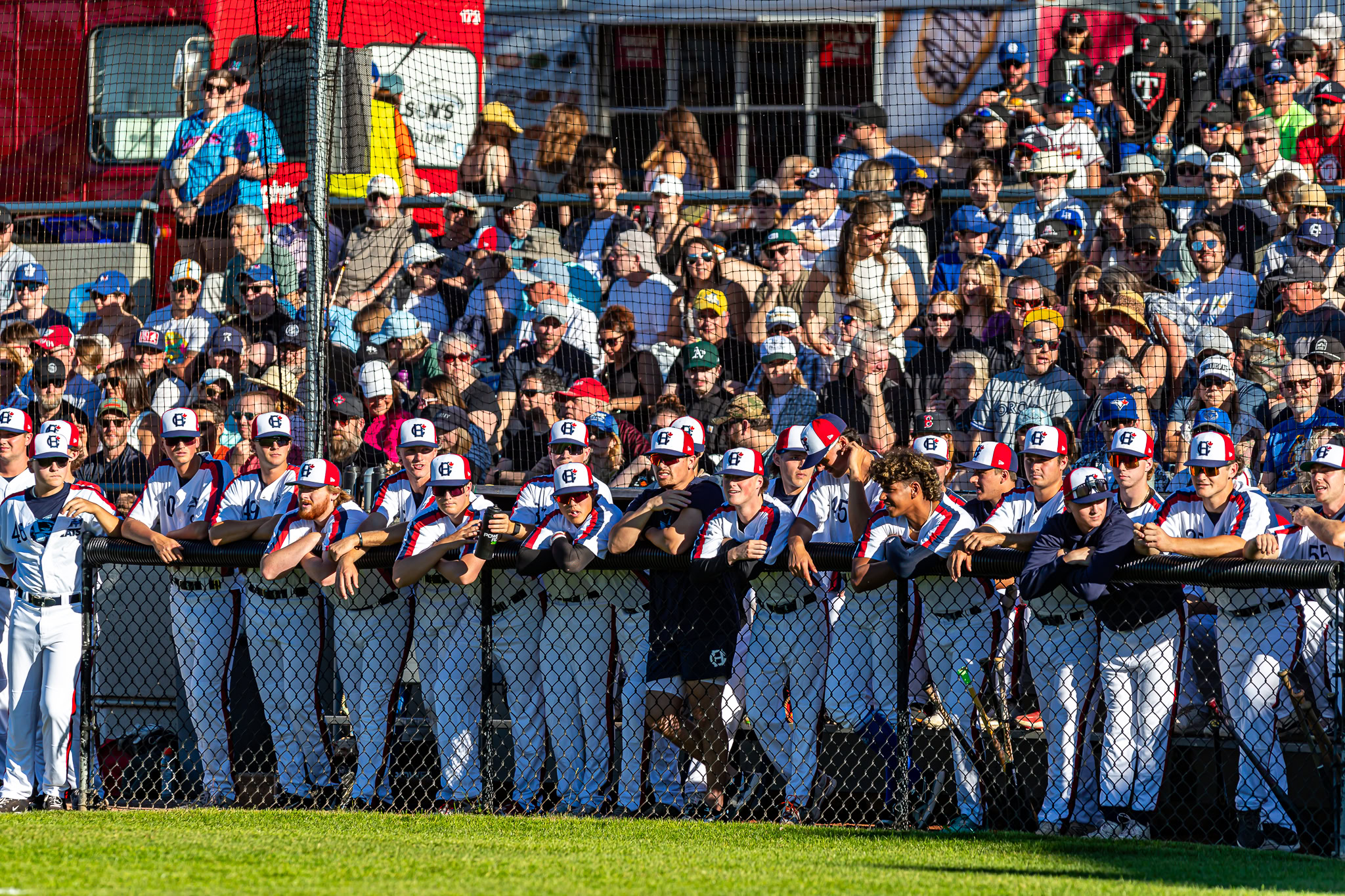 Victoria HarbourCats - 2024 HarbourCats Year in Review