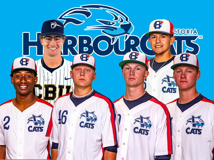 Victoria HarbourCats - Five guys returning as Haney announces six more ...
