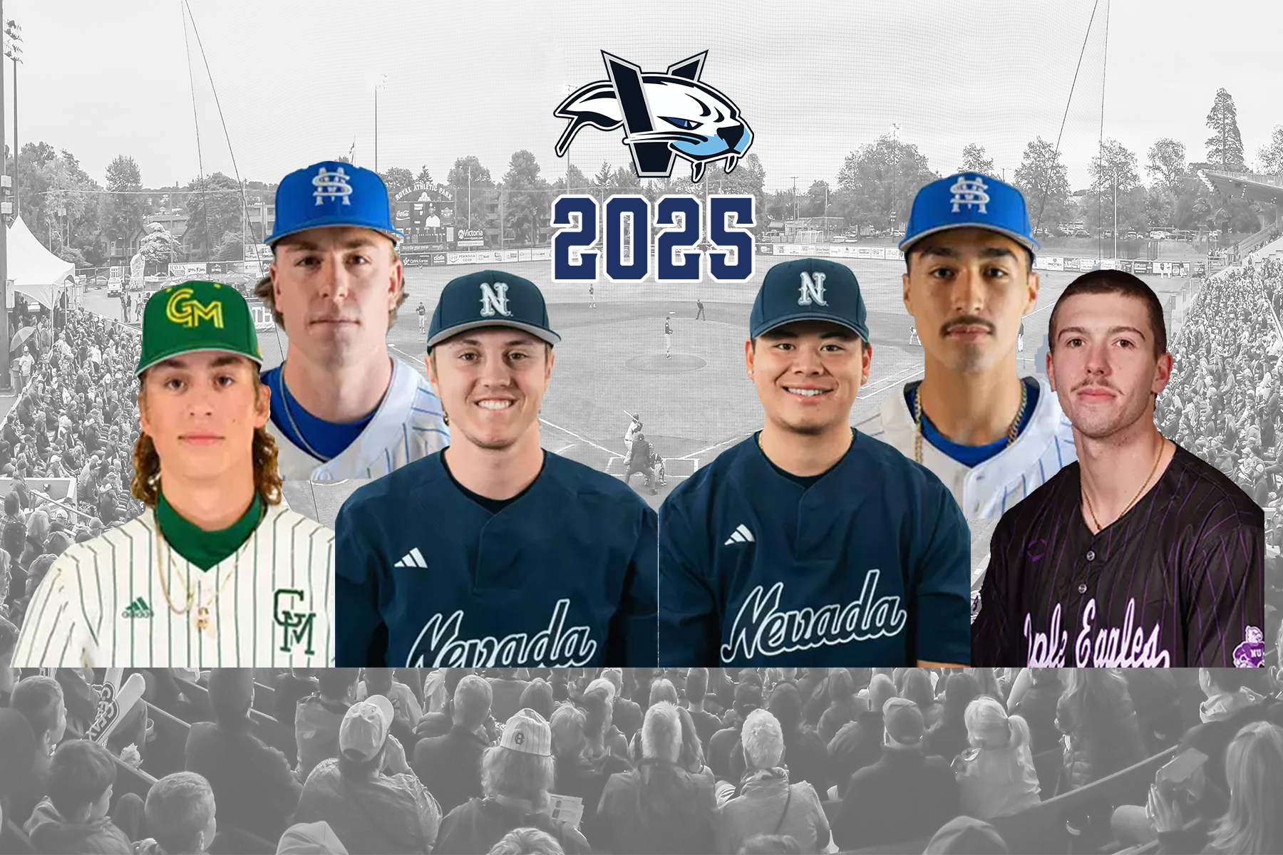 Victoria HarbourCats - Yamaguchi leads group of top hitters coming to ...