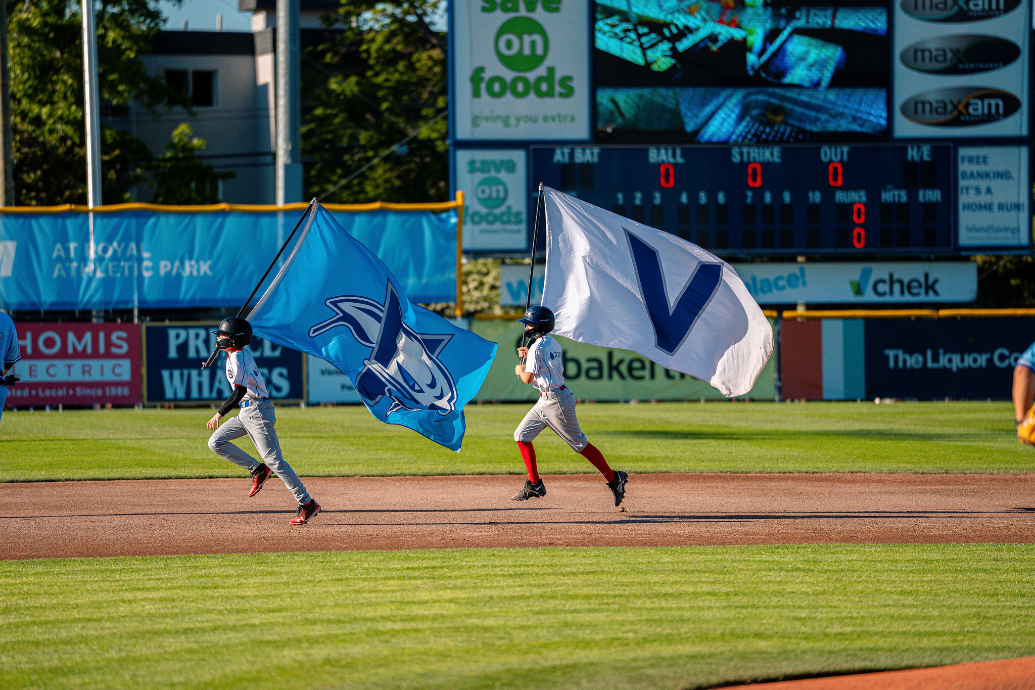 Victoria HarbourCats - Hayes grand slam powers Owls to series win