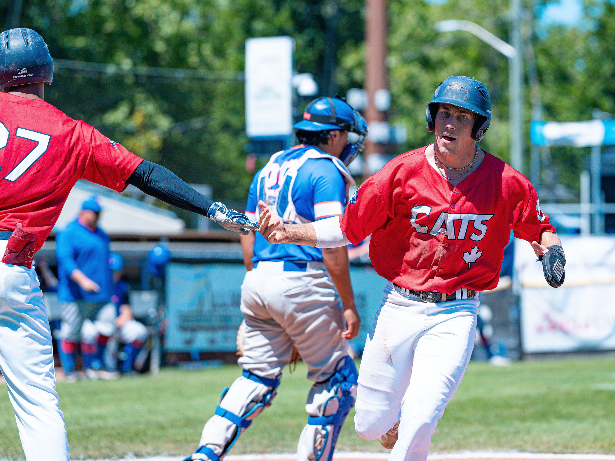 Victoria HarbourCats - Cats beat Lefties 6-1 to win series