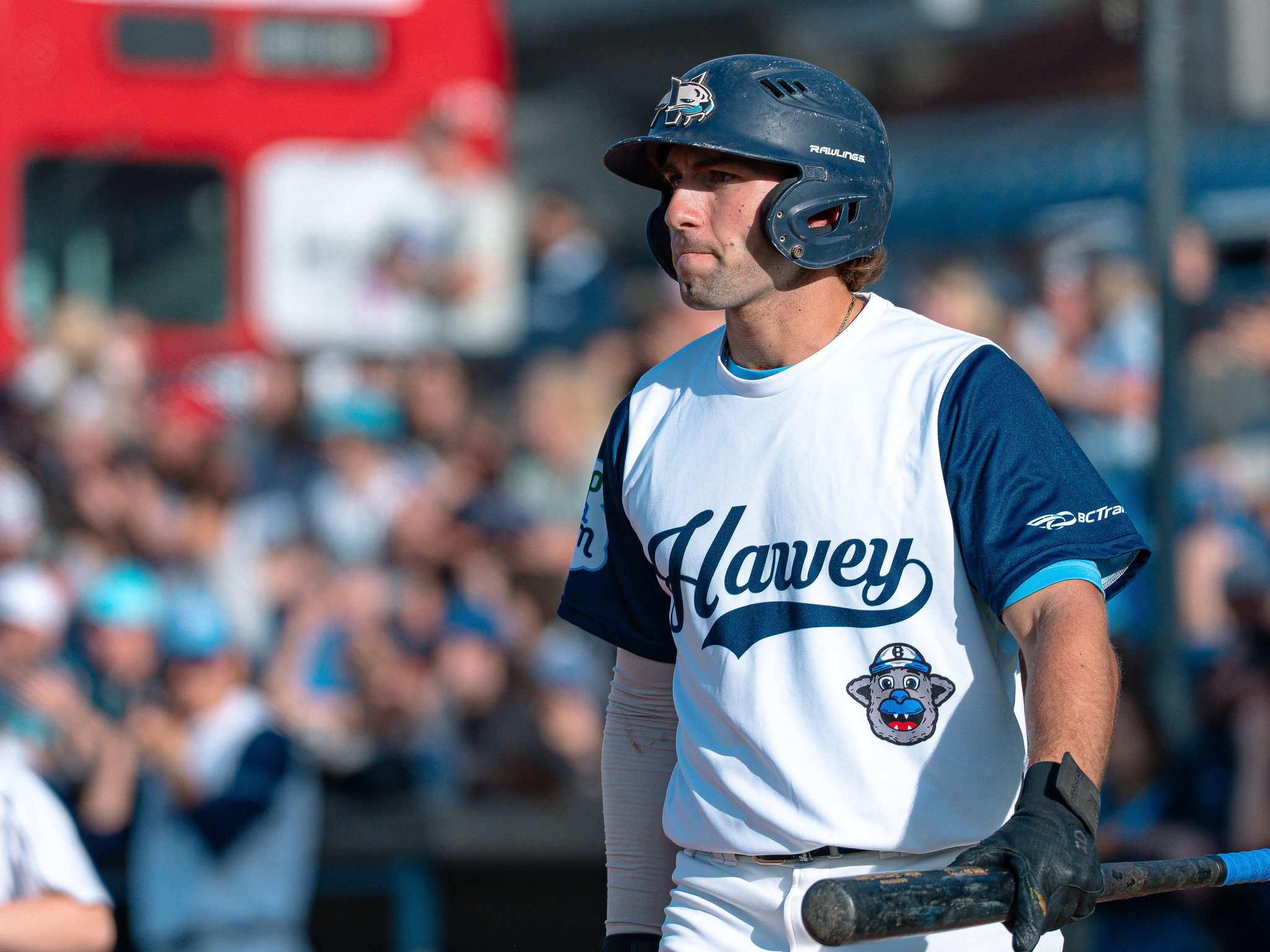 Victoria HarbourCats - Five-run sixth inning powers Falcons to win
