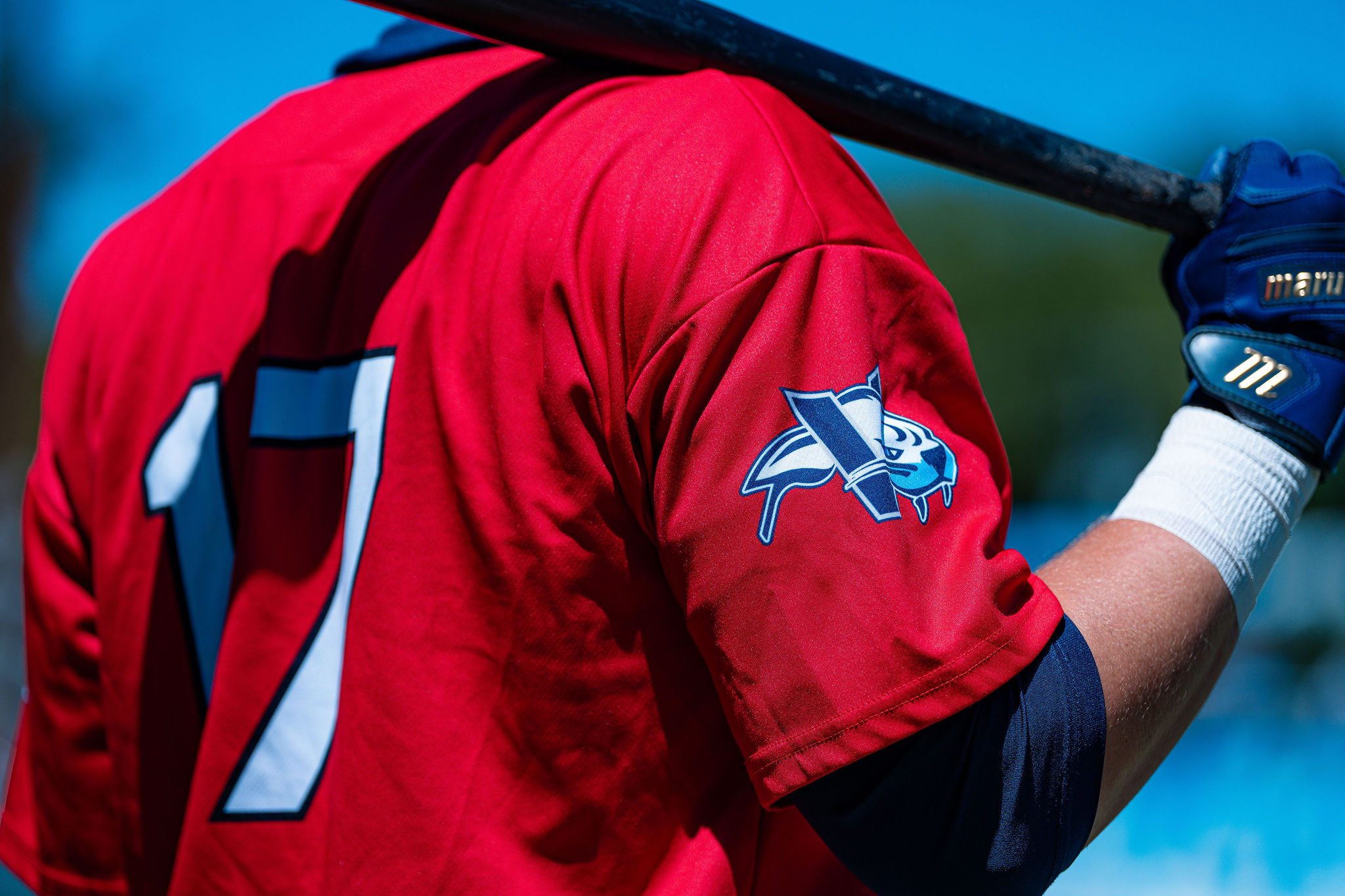 Victoria HarbourCats - Cats drop series finale to Raptors